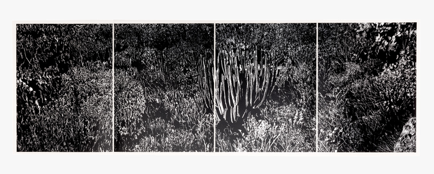 JAN HENDRIX EXHIBITION